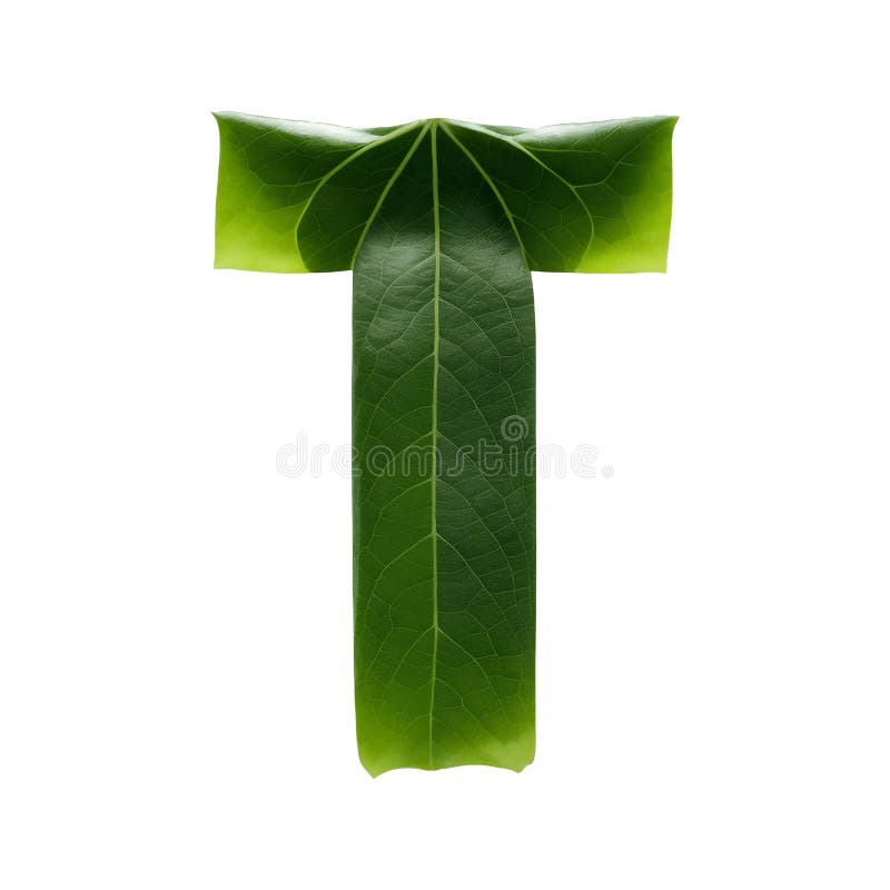 Green Leaf Typography Text Design Uppercase Alphabet T Stock Photo - Illustration of flower ...