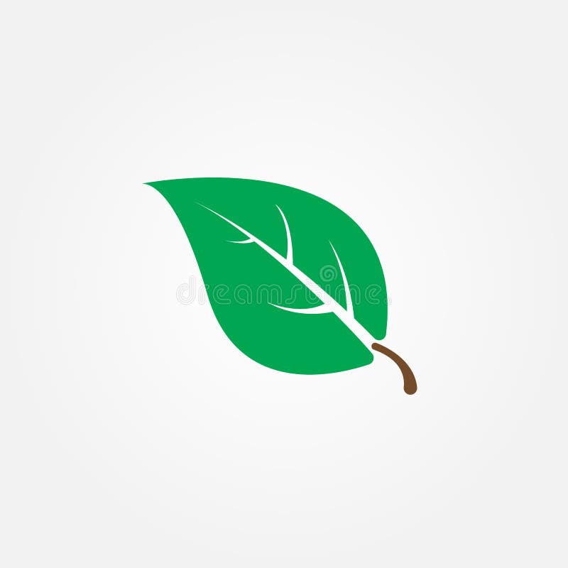 Green Leaf Vector Icon Isolated on White Background . Stock Vector ...