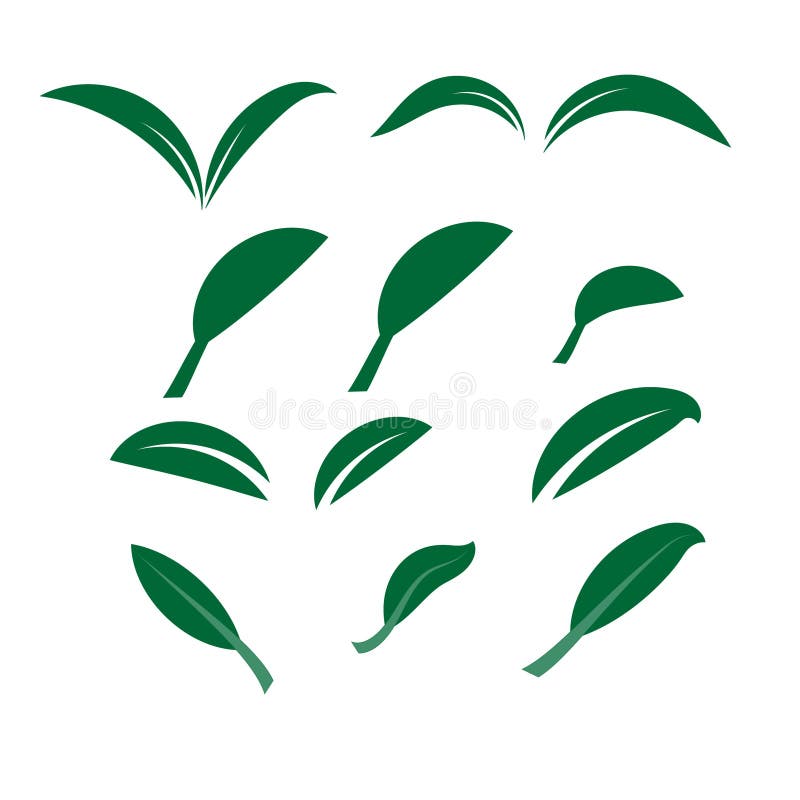 Green Leaf Vector Illustrator Stock Vector - Illustration of graphic ...