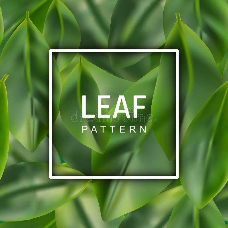 Realistic Leaf Vector Icons Stock Vector - Illustration of beautiful ...