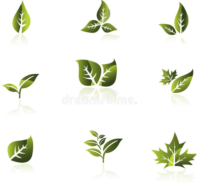 Leaf vector stock vector. Illustration of design, fall - 6371676