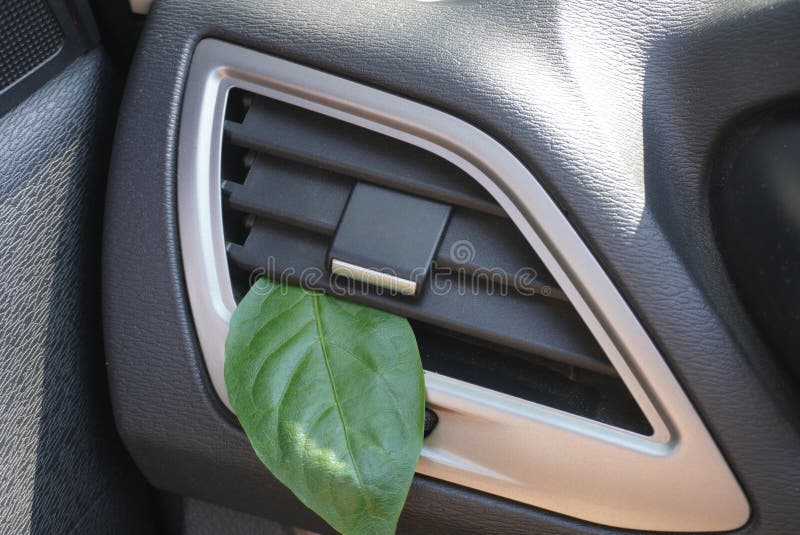 Green Leaf in the Ventilation Grille of the Car, As a Symbol of Clean ...