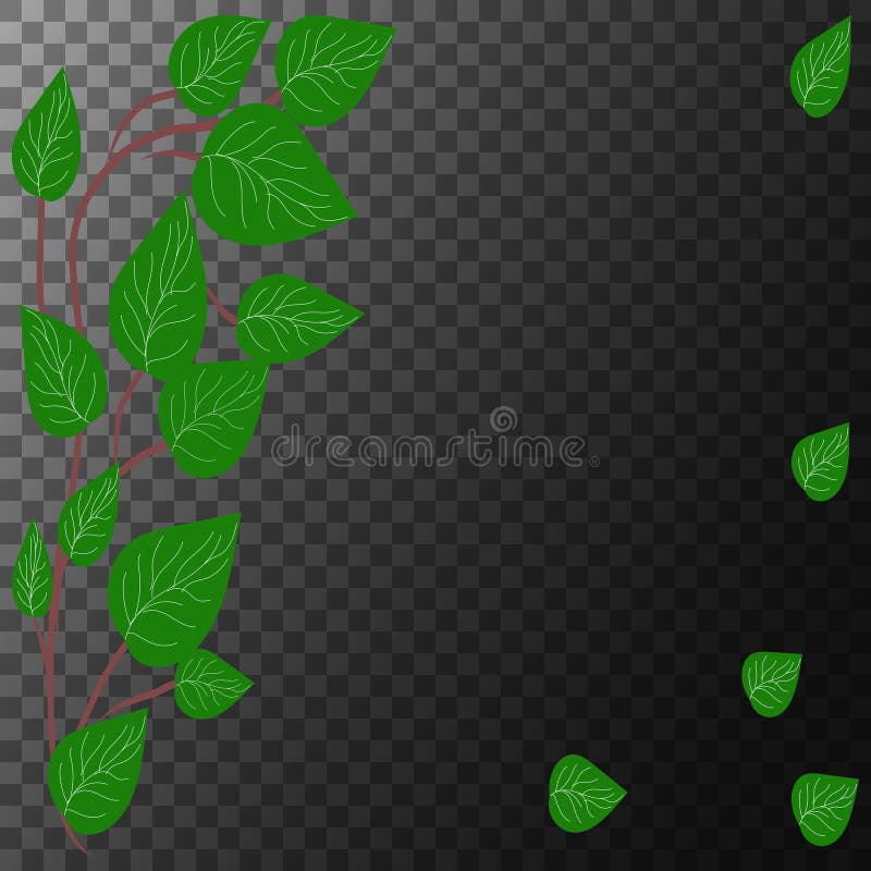 Green Leaf Vine. Natural Foliage Stem. Vector Branch Design. Checker ...