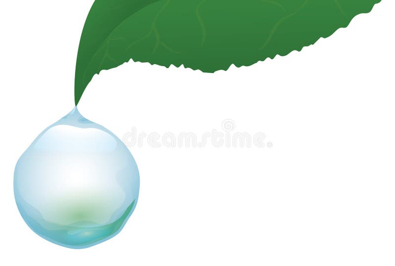 Green Leaf and Water Drop Hanging of it in Gradient Effect, Vector ...