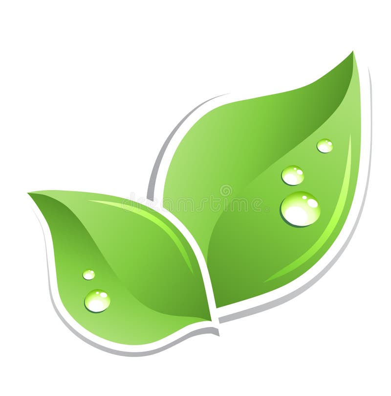 Leaf banner. stock vector. Illustration of label, raindrop - 43488098