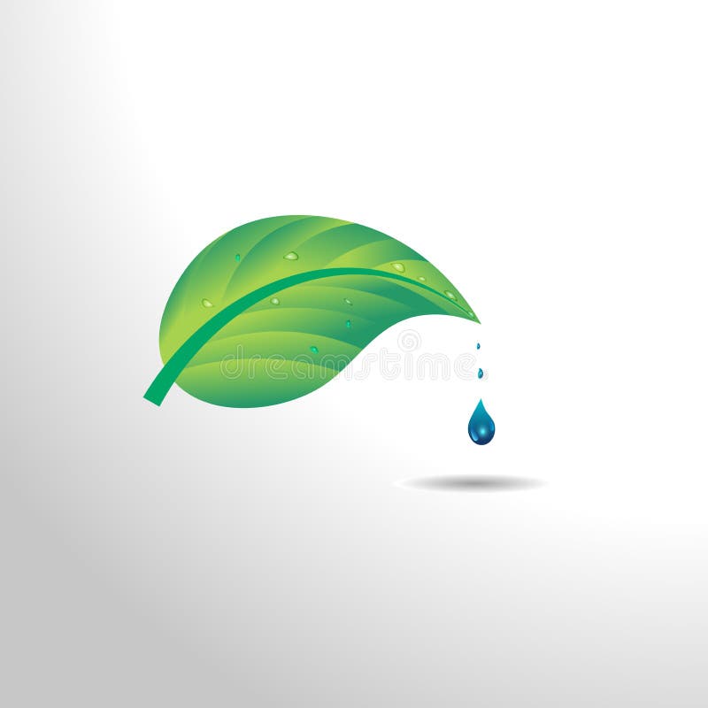 Green Leaf with Water Drops, Leaf and Water Drop Element Vector Stock ...