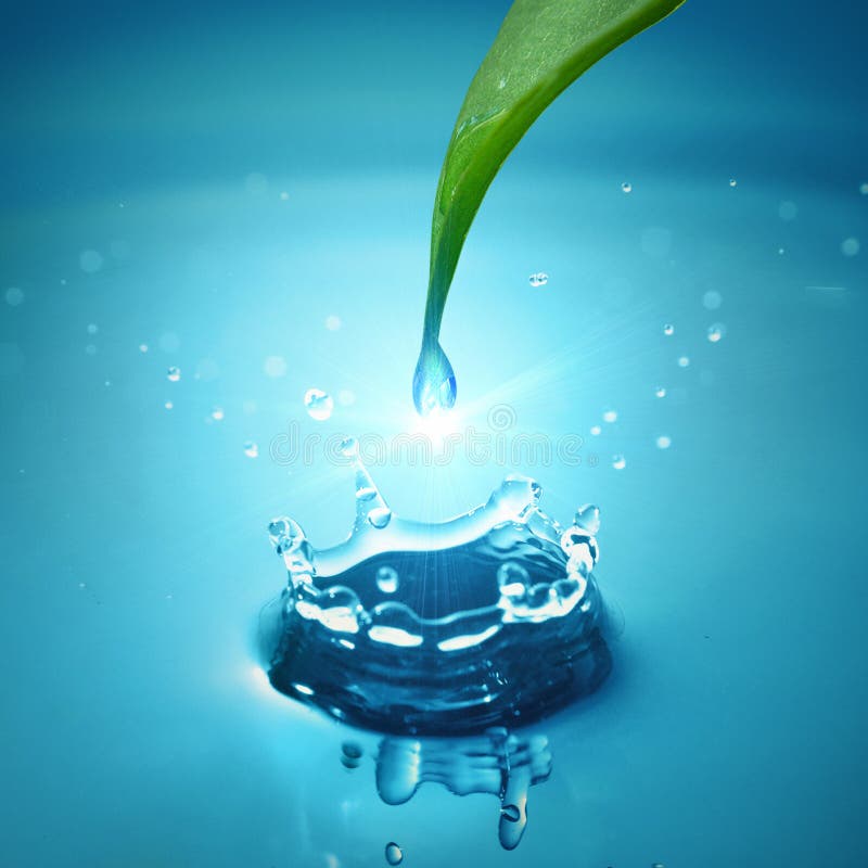 Leaf Touching Water stock photo. Image of copyspace, fibers - 18117852