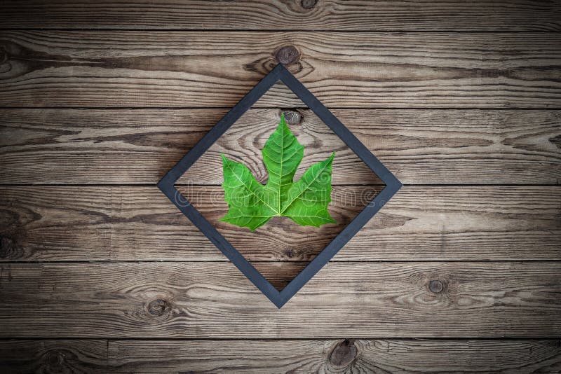 Green Leaf in Wooden Frame Over Old Wooden Texture Background. Top View ...
