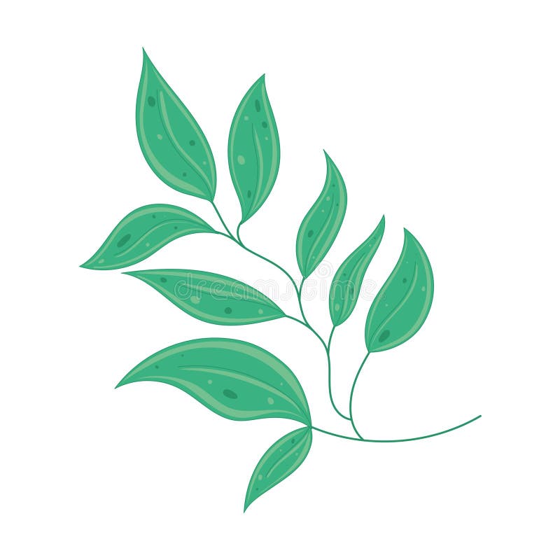 Green Leafy Branch with Delicate Natural Structure Vector Stock ...