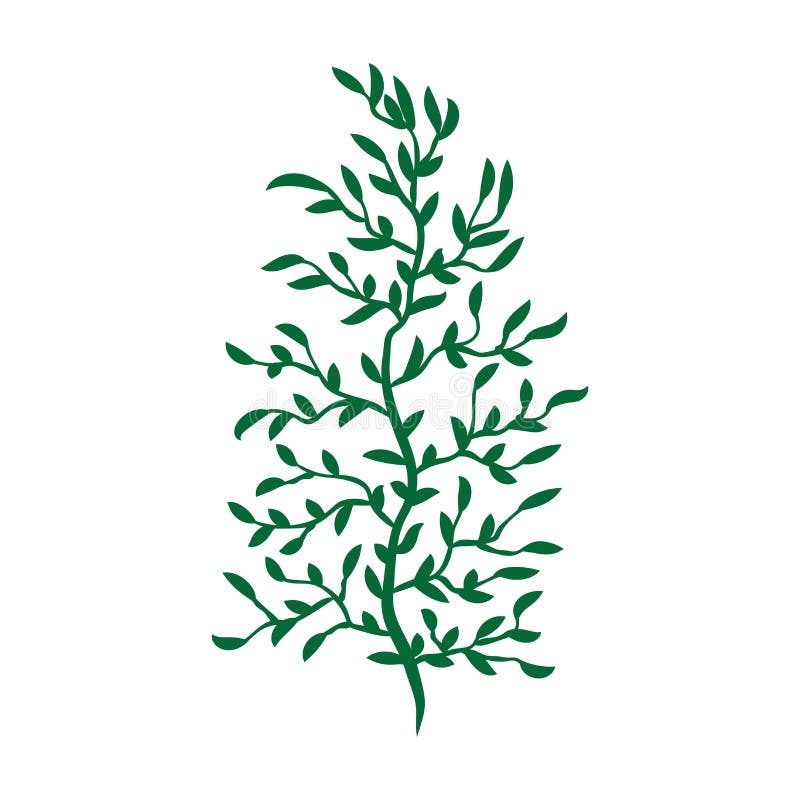 Green Leafy Plant with Decorative Art Isolated Vector Illustration ...