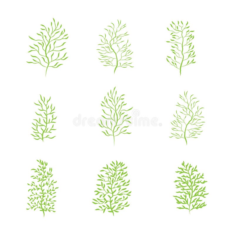 Green Leafy Plant with Decorative Art Isolated Vector Illustration ...