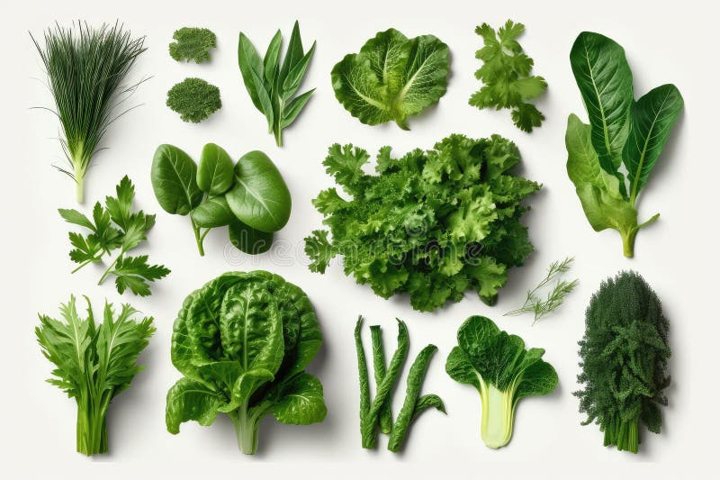 Green Leafy Vegetables. High Resolution, Isolate on White Background ...