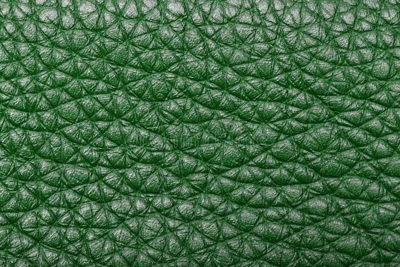 Green leather stock image. Image of full, copy, macro - 62435035