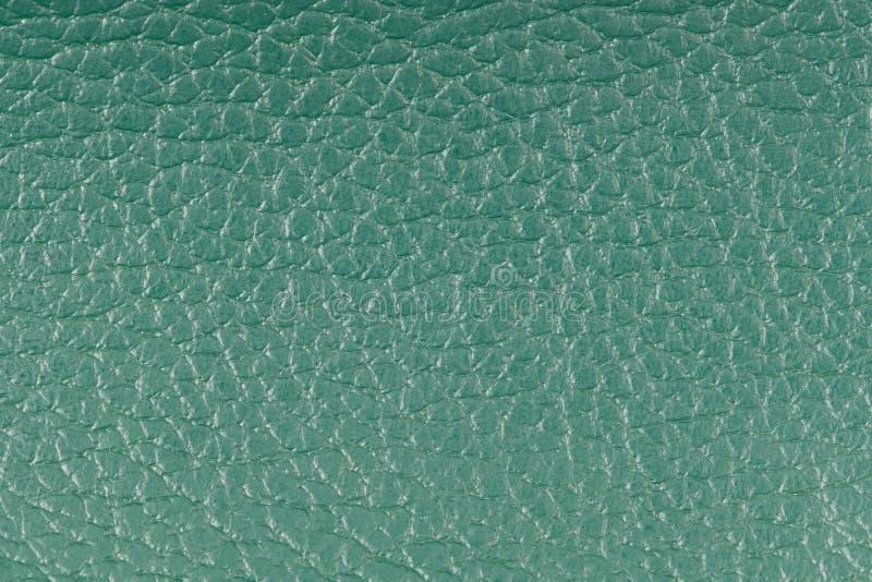 Green leather stock photo. Image of macro, imagery, cracked - 266153702