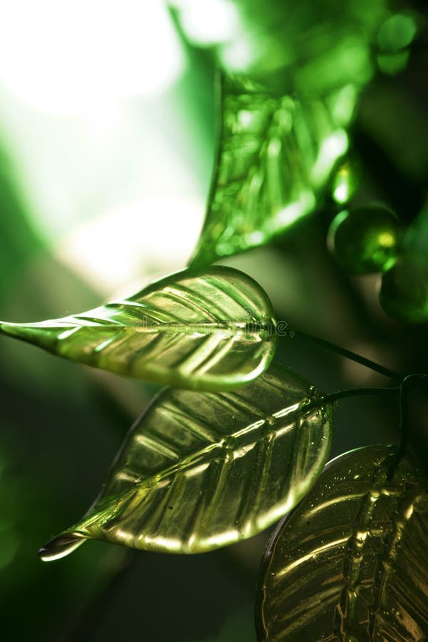 Leaves Free Stock Photos & Pictures, Leaves Royalty-Free and Public ...