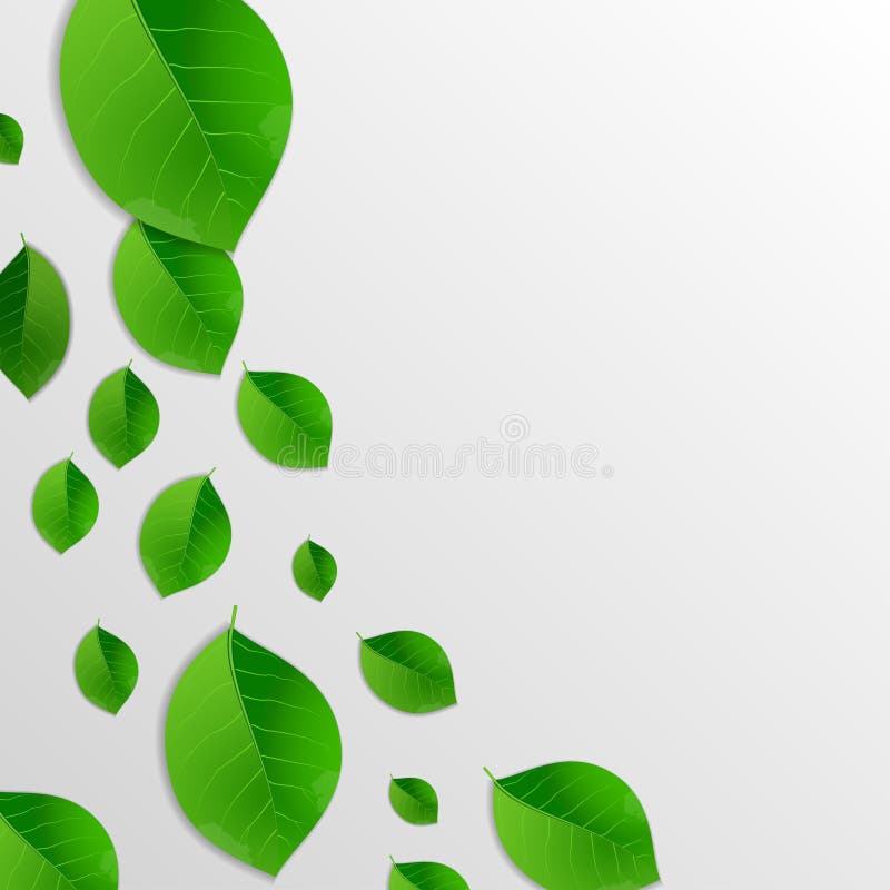 Green Leaves Abstract Background Stock Vector - Illustration of closeup ...