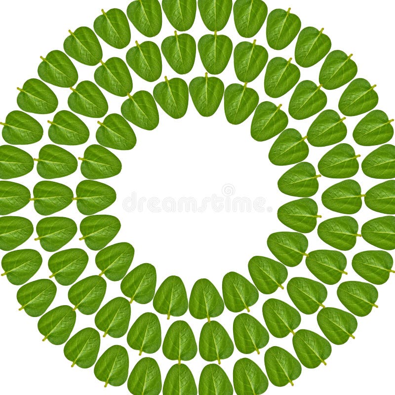 Green Leaves Background, Frame and Border, Copy Space Photo Stock ...