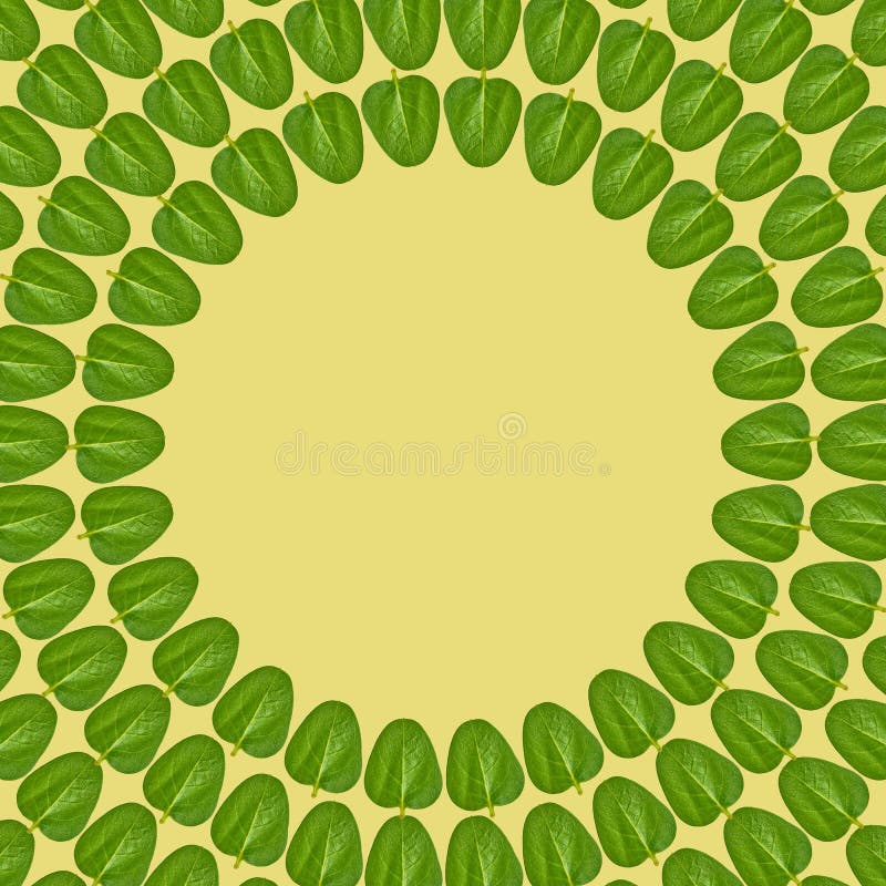 Green Leaves Background, Frame and Border, Copy Space Photo Stock ...