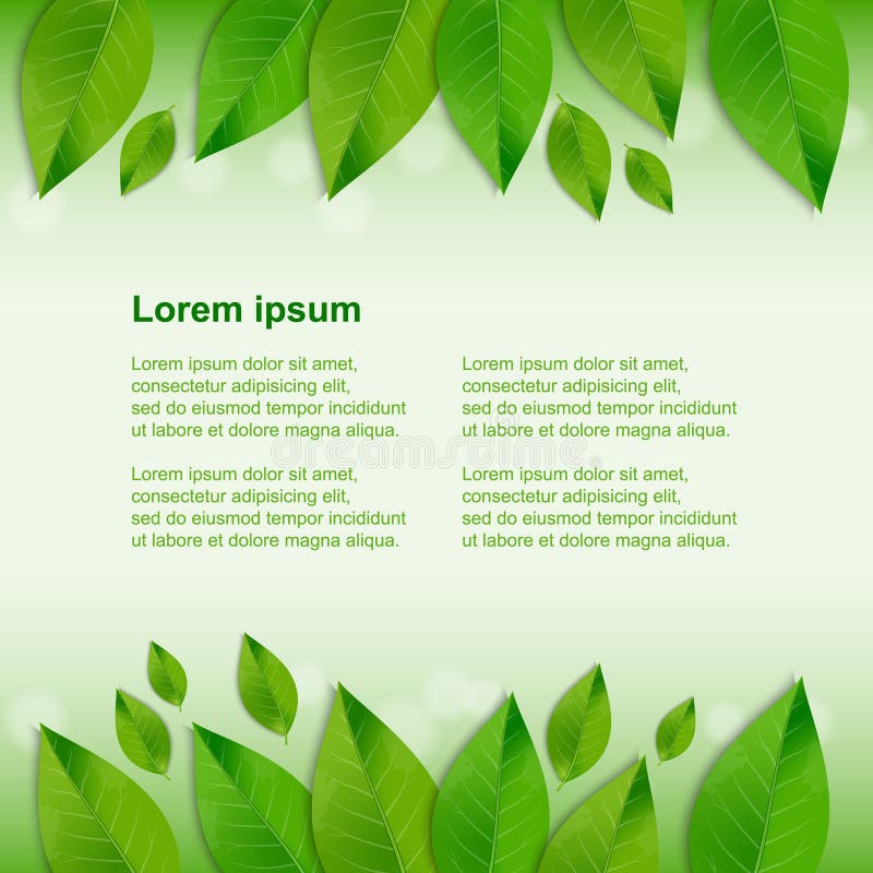Green Leaves Background. stock vector. Illustration of banner - 42460652