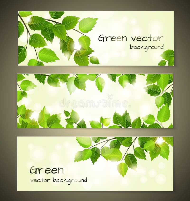 Banners, headers stock vector. Illustration of green - 15129965