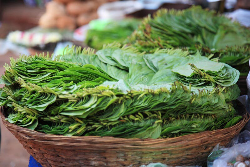 Green Leaves in a Basket India Stock Image - Image of culture, nature ...