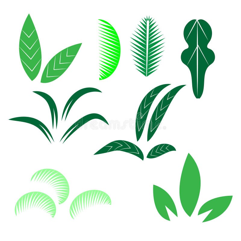 Leaf Bundles Vector Illustrator Stock Vector - Illustration of branch ...