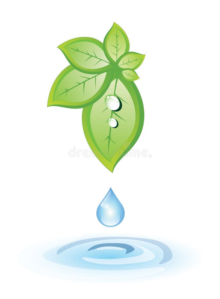 Dripping Leaves Stock Illustrations – 1,234 Dripping Leaves Stock ...