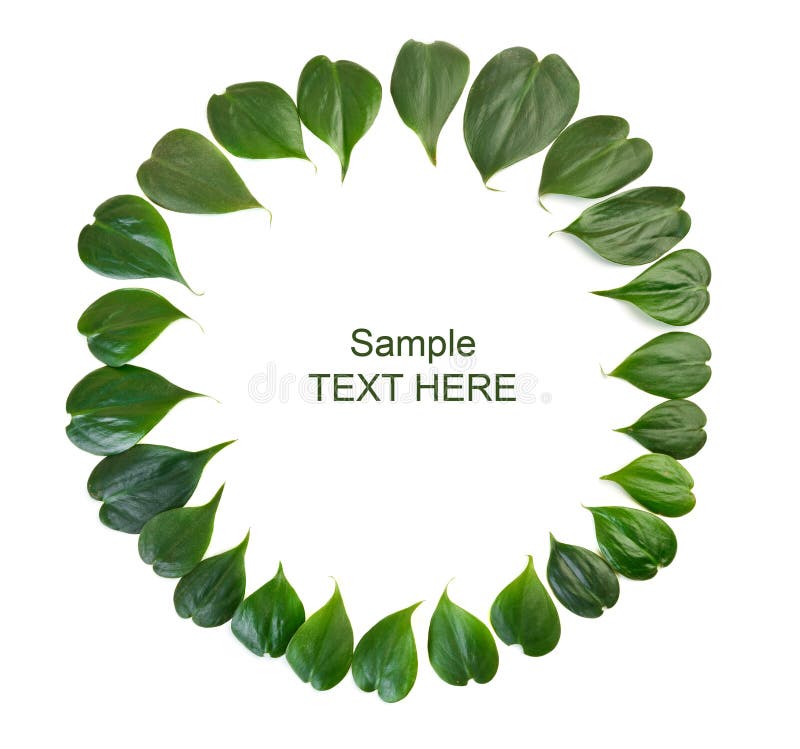 Green Leaves Border Picture. Image: 33500482