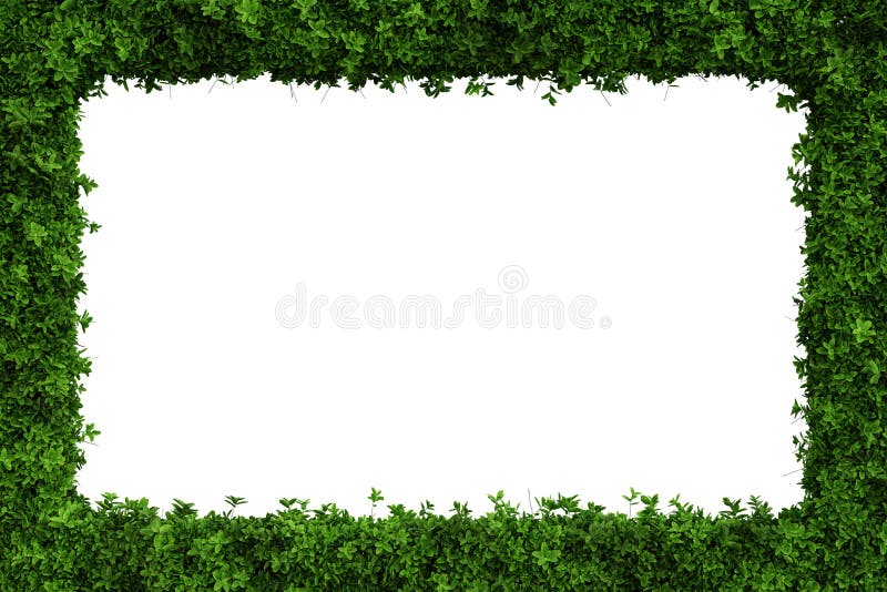Green Leaves Border Isolated on Transparent Background - 3D ...