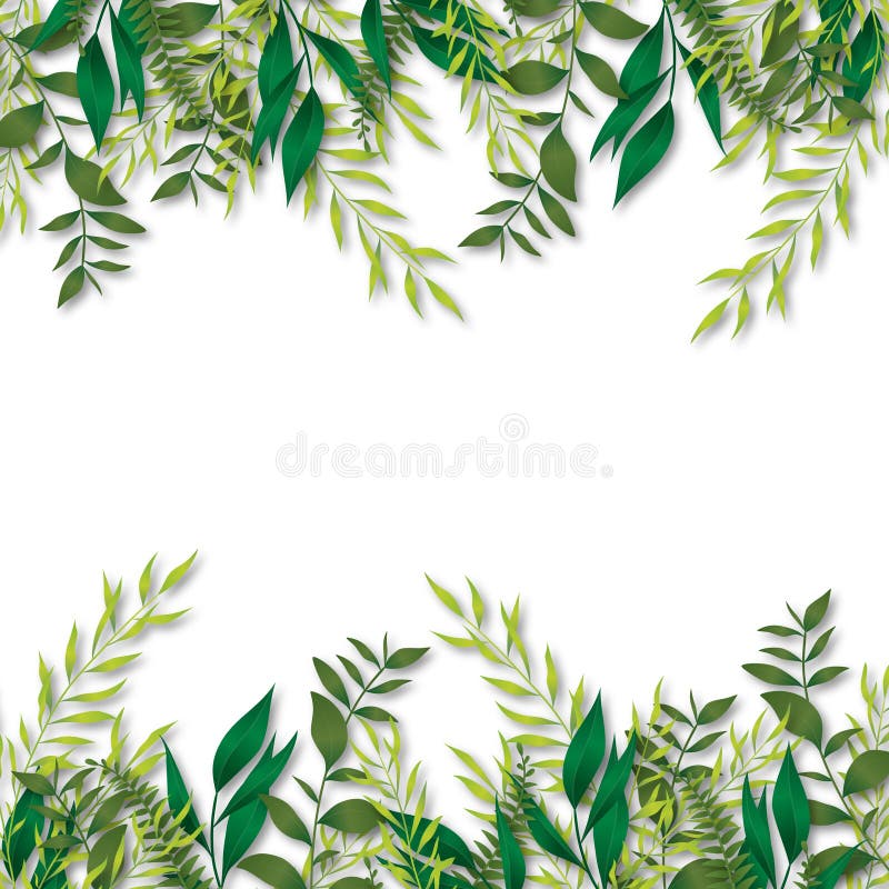 Green Leaves Borders on White Stock Illustration - Illustration of ...