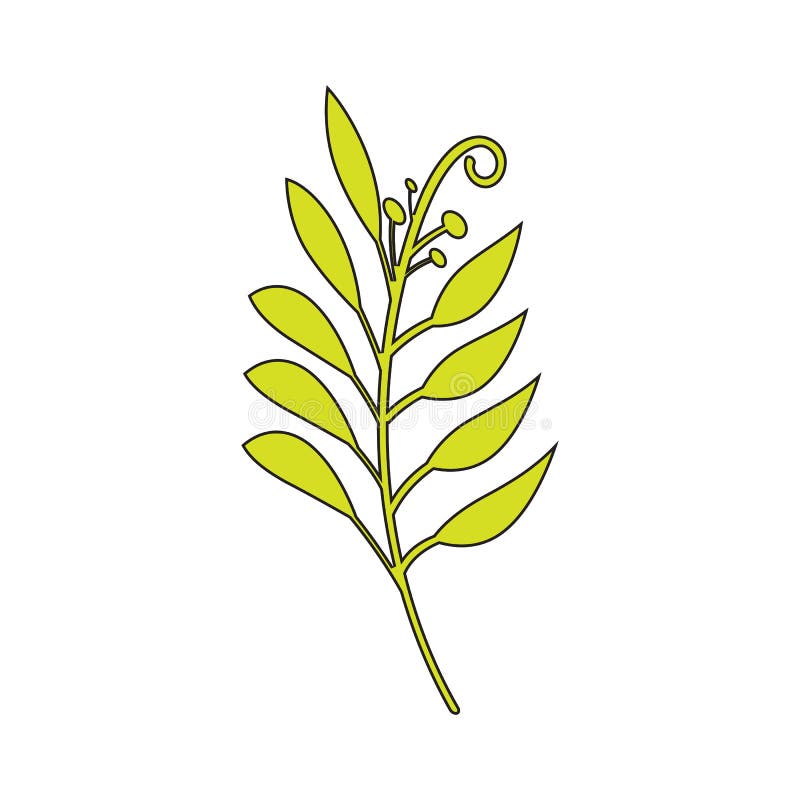 Green Leaves Botanical Logo Vector and Symbol Design Stock Illustration ...