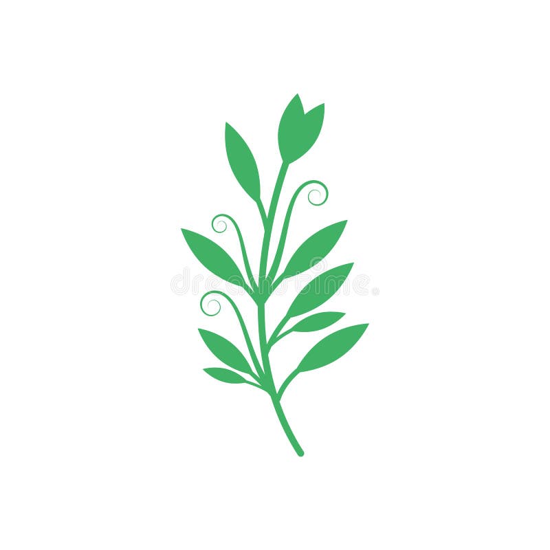 Green Leaves Botanical Logo Vector and Symbol Design Stock Illustration ...