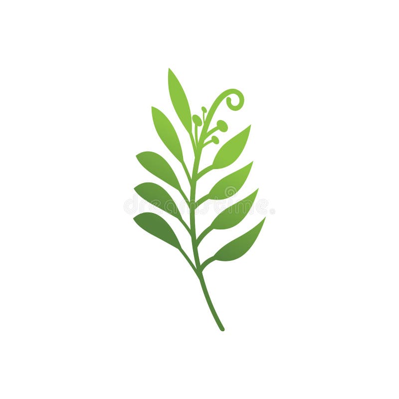 Green Leaves Botanical Logo Vector and Symbol Design Stock Vector ...