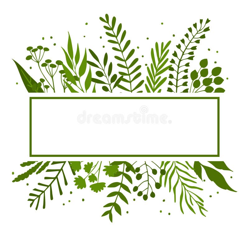 Green Leaves Branches Frame Background Stock Vector - Illustration of ...