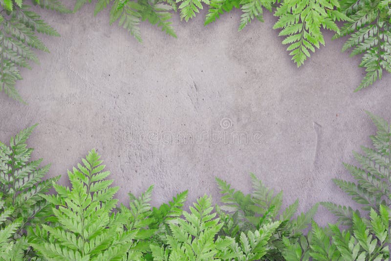 Green Leaves on the Concrete with Spaces for Text, Nature Border Stock ...