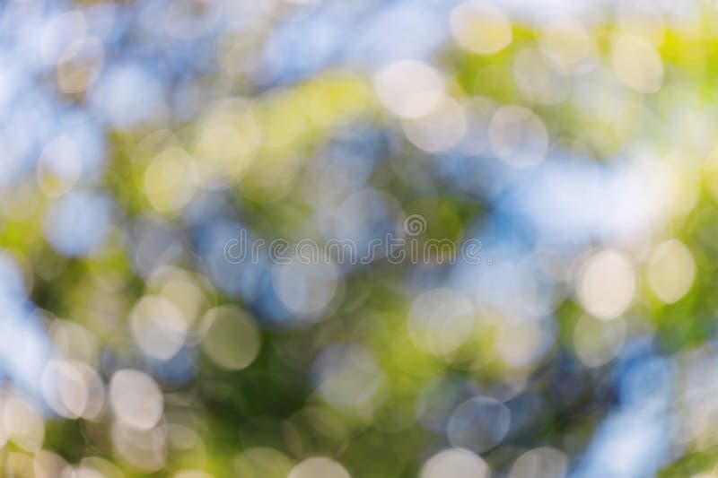 Green Leaves Defocused, Abstract Blurred Summer Background Stock Image ...
