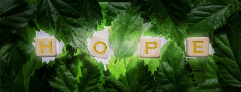 Dice with Text for Illustration of `hope` Words Stock Photo - Image of ...