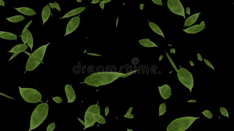 Green Leaves Particle Animation Stock Video - Video of fresh, falling ...