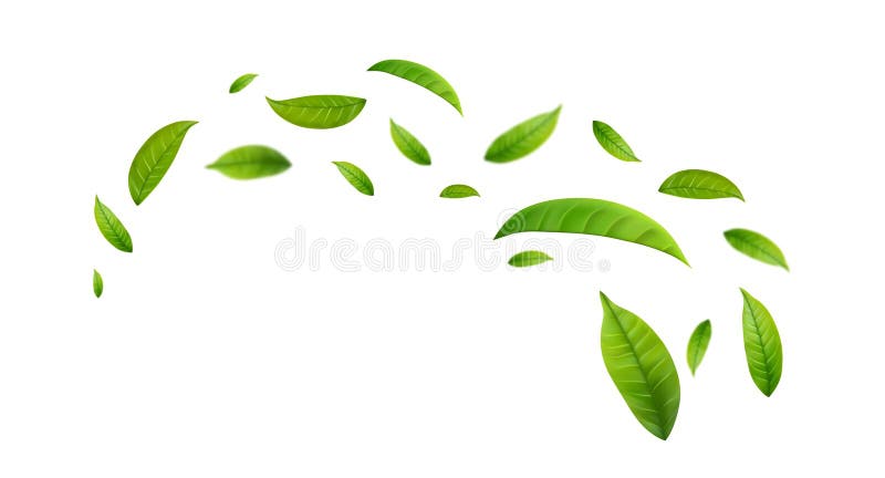 Green Leaves Fly with a Gust of Wind. Stock Illustration - Illustration ...