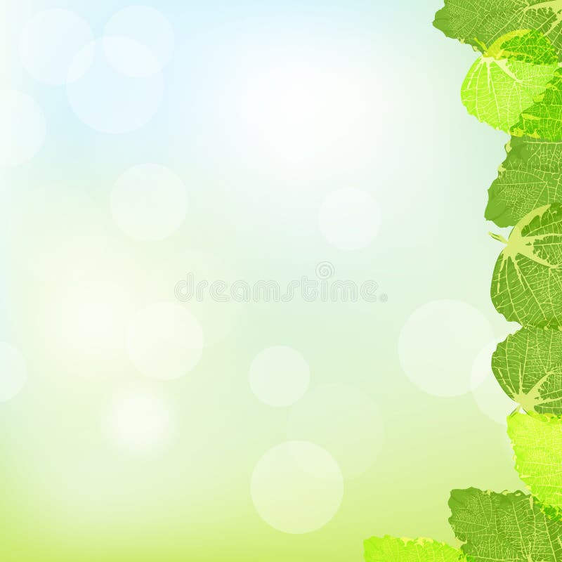 Green Leaves Frame stock vector. Illustration of nature - 212994905