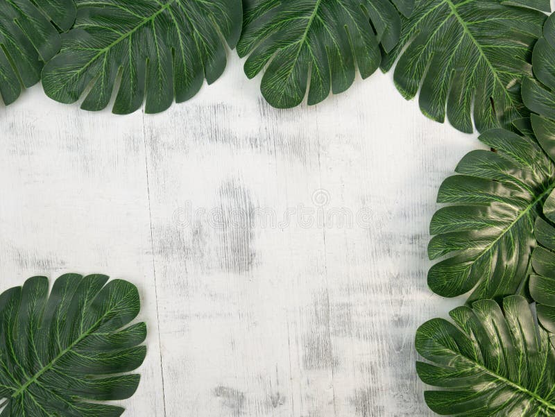 Green Leaves Frame with Place for Text Stock Image - Image of ...