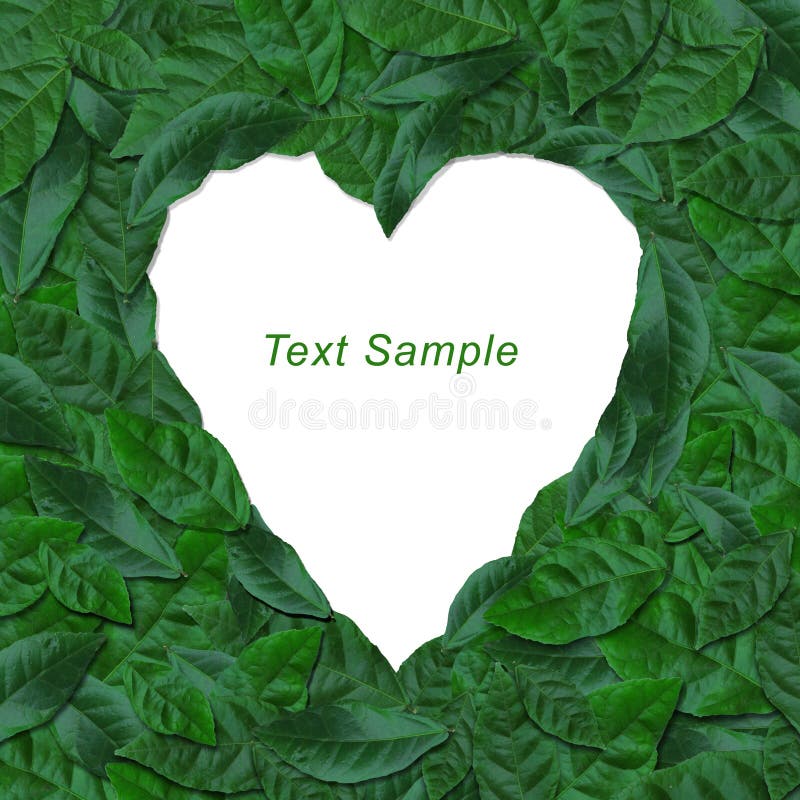Green Leaves Frame with Space Shape Heart Stock Image - Image of flora ...