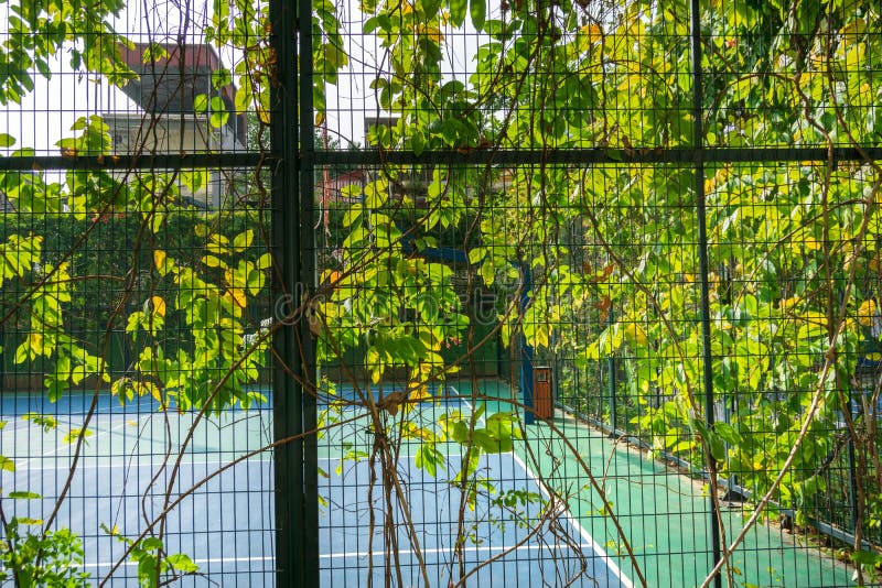 Green Leaves Growing on a Metal Grid Fence Stock Image - Image of metal ...