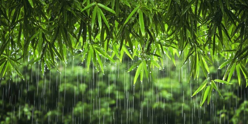 Green Leaves Hanging from Tree Stock Photo - Image of tree, nature ...