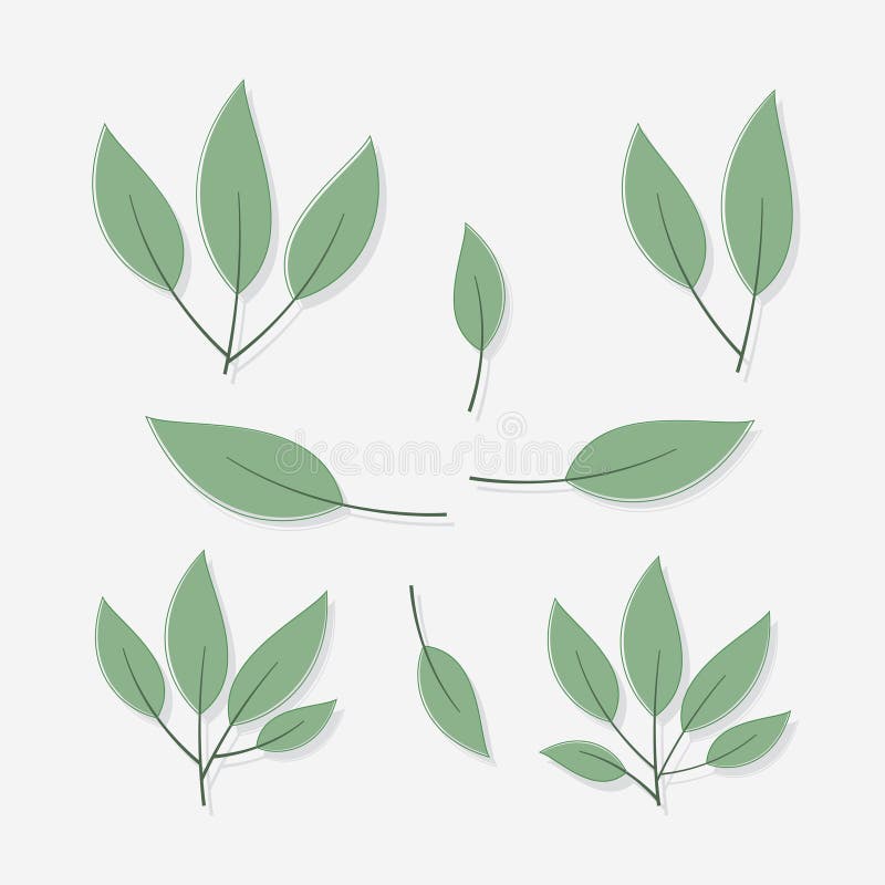 Green Leaves Icon Set Isolated Vector Illustration Stock Vector ...