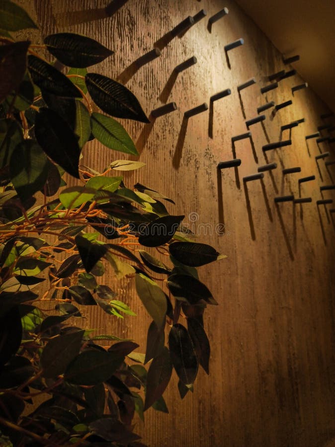 Green Leaves Inside the Cafe with Yellow Lights Shining on the ...