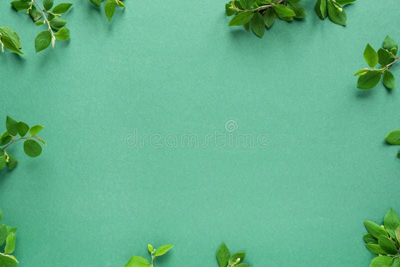 Green leaves layout stock image. Image of green, foliage - 183030859