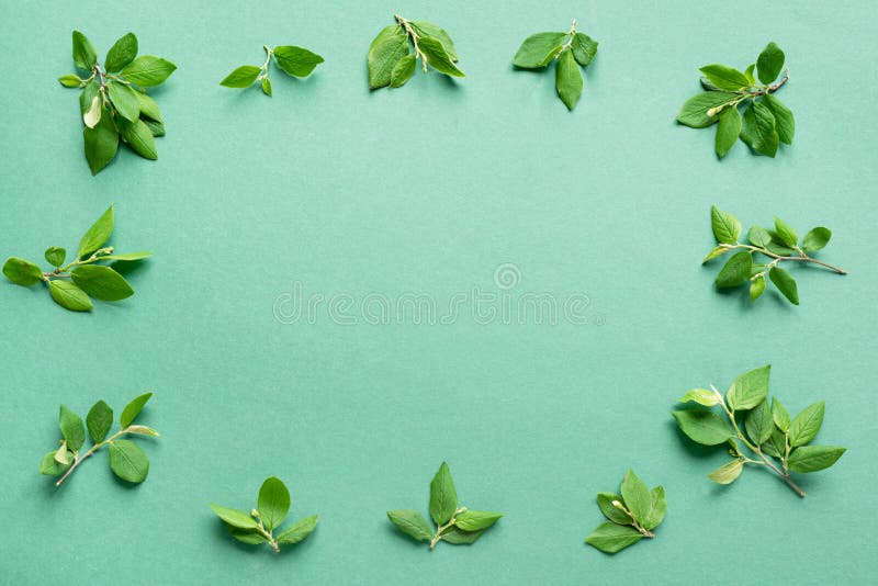 Green leaves layout stock photo. Image of creative, lush - 183030876