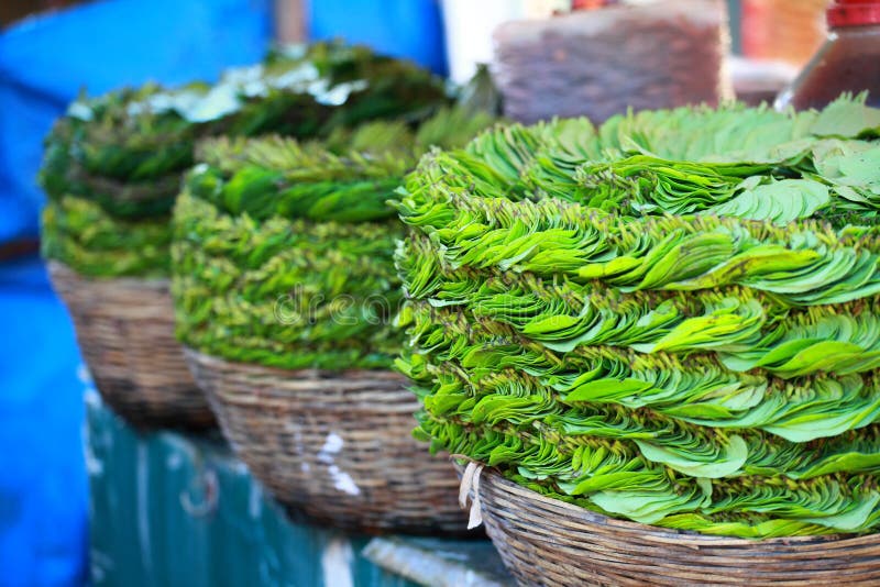 Green Leaves in Local Market in India. Stock Image - Image of marigold ...