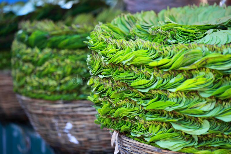 Green Leaves in Local Market in India. Stock Image - Image of religion ...